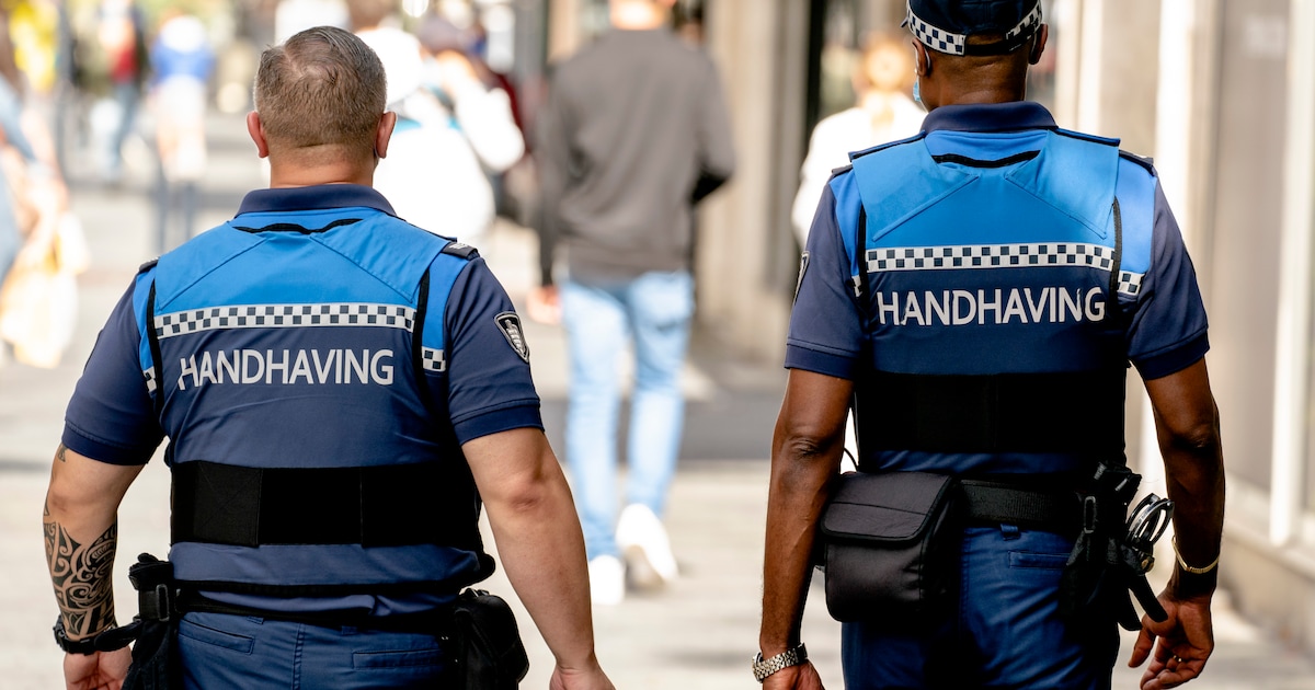 Twee extra boa’s in Meierijstad: het zijn er straks in totaal negen ...