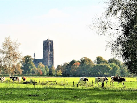 Zicht op markant Oirschot in gevaar door ‘stadse muur’ in Boterwijk ...