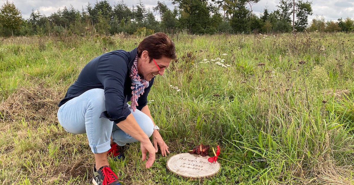 Steeds meer Brabanders worden in de natuur begraven: ‘Geen gedoe met ...