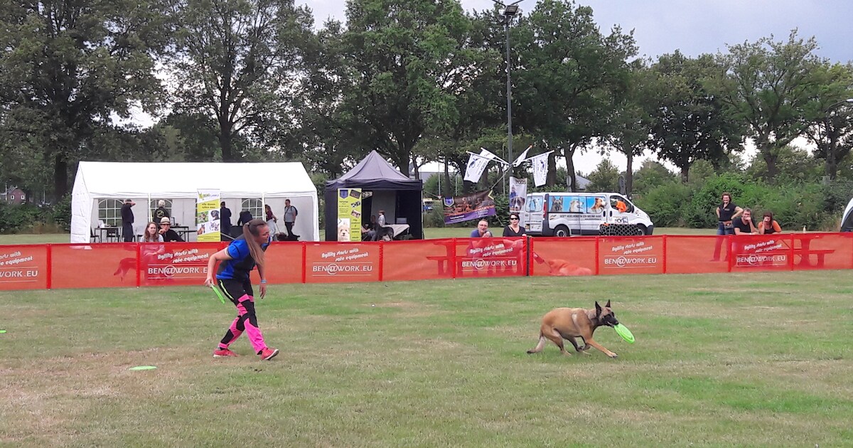 Hondenclub houdt spoedbijeenkomst na ruzie over kus | Maashorst | BD.nl