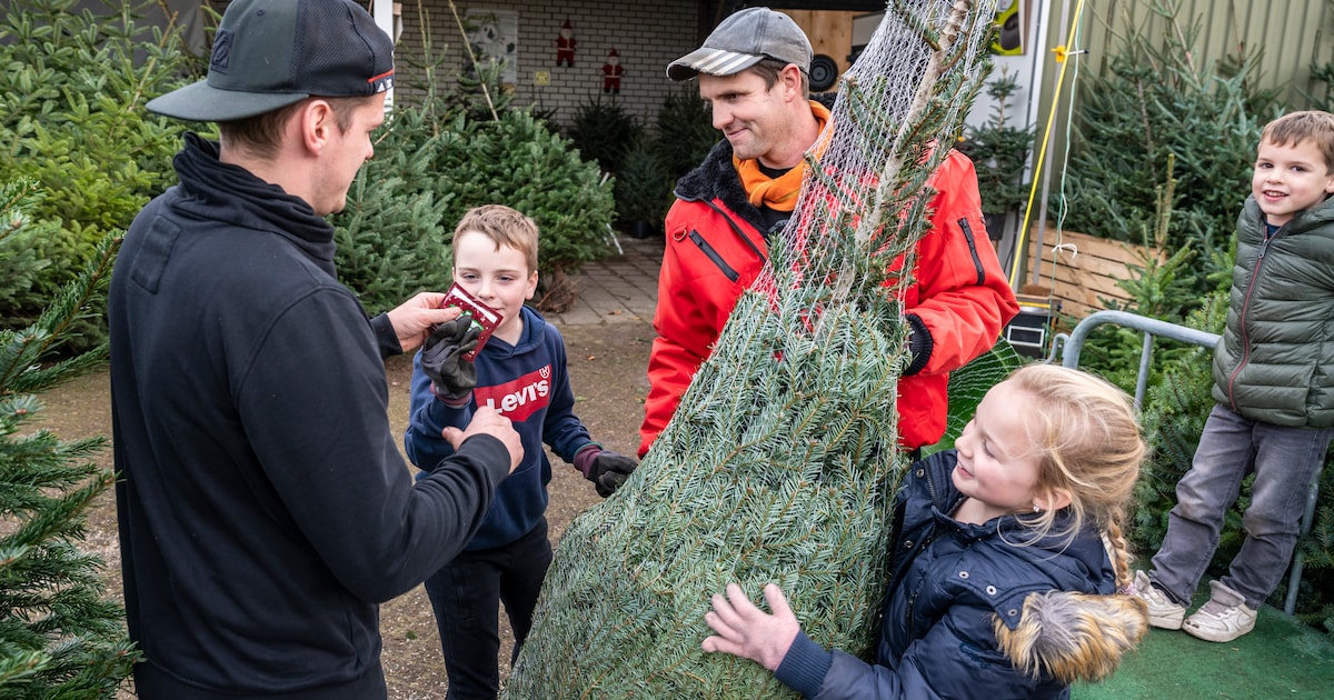 Bij start van kerstbomenverkoop heeft iedereen goeie zin: ‘Het hele ...