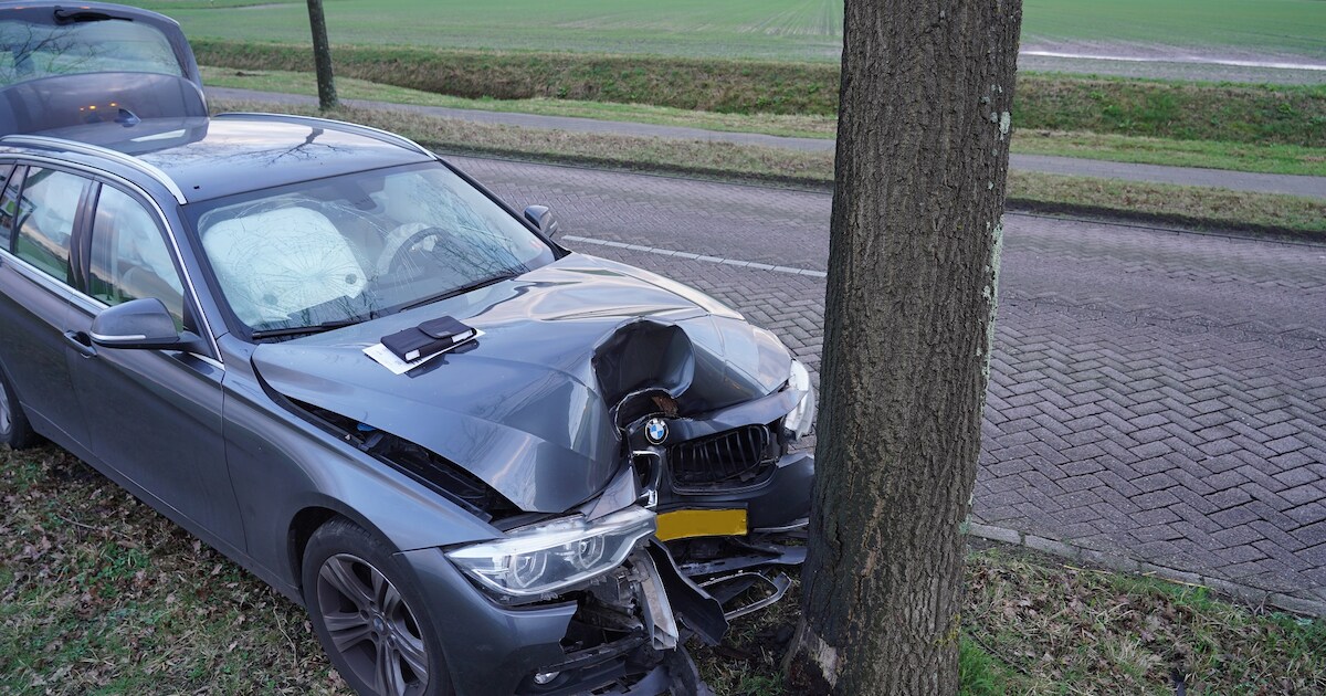 Fikse schade aan auto na botsing tegen boom in Oosteind | Brabant | bd.nl