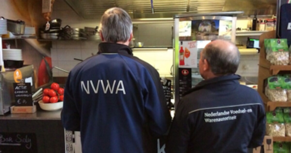 Controle Markthal: ongedierte en onhygiënische toestanden | Binnenland ...