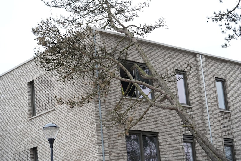 Boom waait tegen gevel in Rijen, brandweer kan door afstand niet alles ...