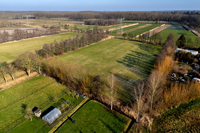 Plan voor ecodorp in natuurgebied Wijboschbroek mag niet, maar ...