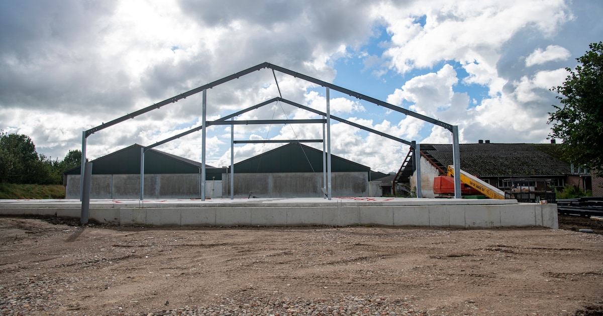 Varkenshouder moet bouw stallen weer stil leggen: ‘Dan stoten we de ...