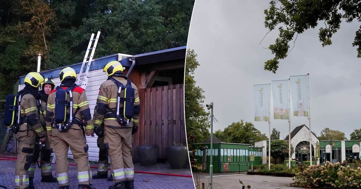 Steken bewoners van dit vakantie­park hun chalets in brand voor het verzeke­rings­geld? | Den ...