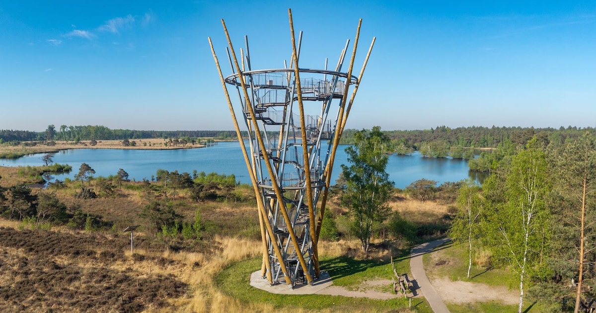 Flaestoren biedt uitzicht over landgoed De Utrecht in Esbeek ...