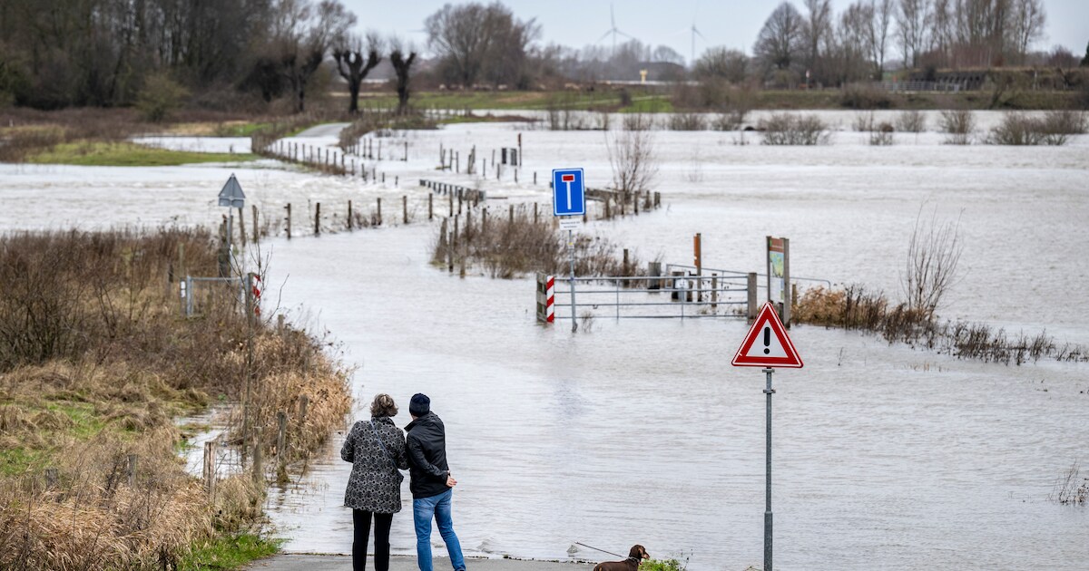 Kerst 2023: even een kijkje nemen bij het ‘zeer indrukwekkende ...