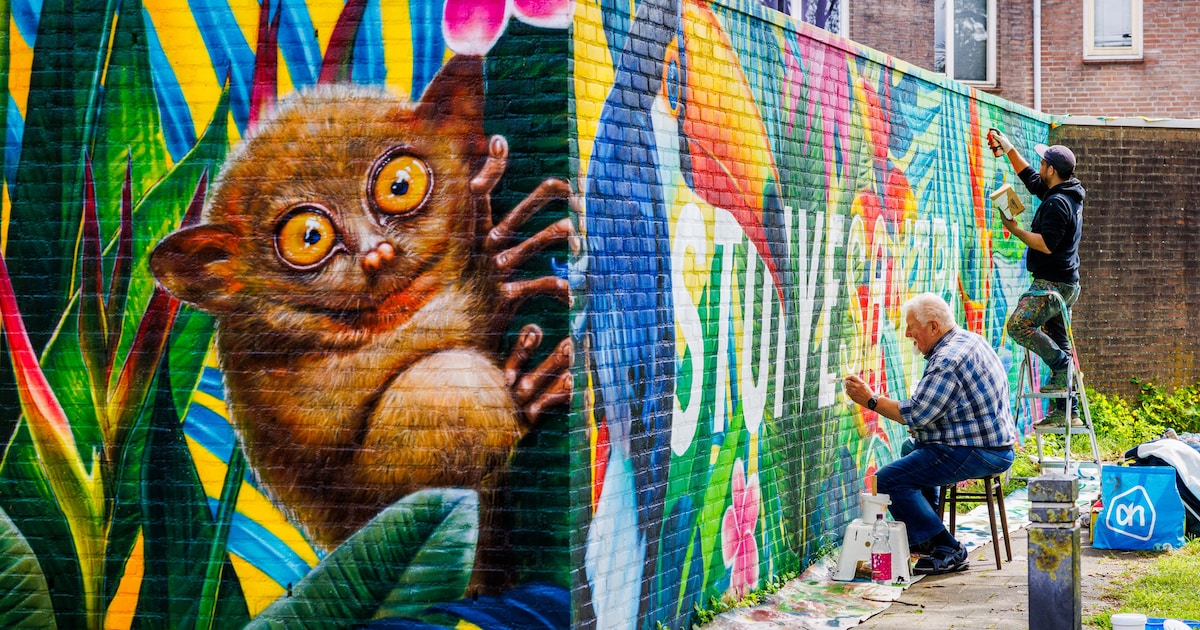 Kunstenaar Paul krijgt bij muurschildering spontaan hulp van buurman ...