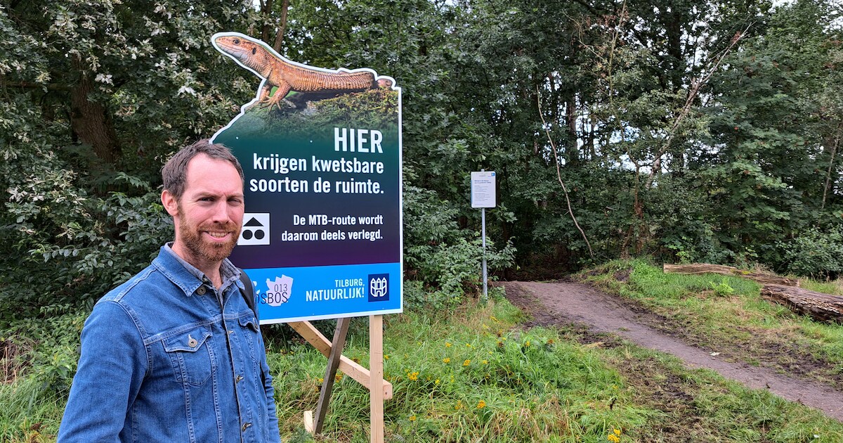 Mountainbikers straks ‘blokje om’ voor de hagedis; het blijft uitkijken in populair stadsbos ...