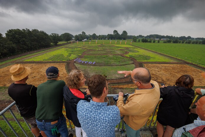 Van Gogh Nationaal Park bedreigt Brabantse erfgoed: ‘Wordt ons een oor ...