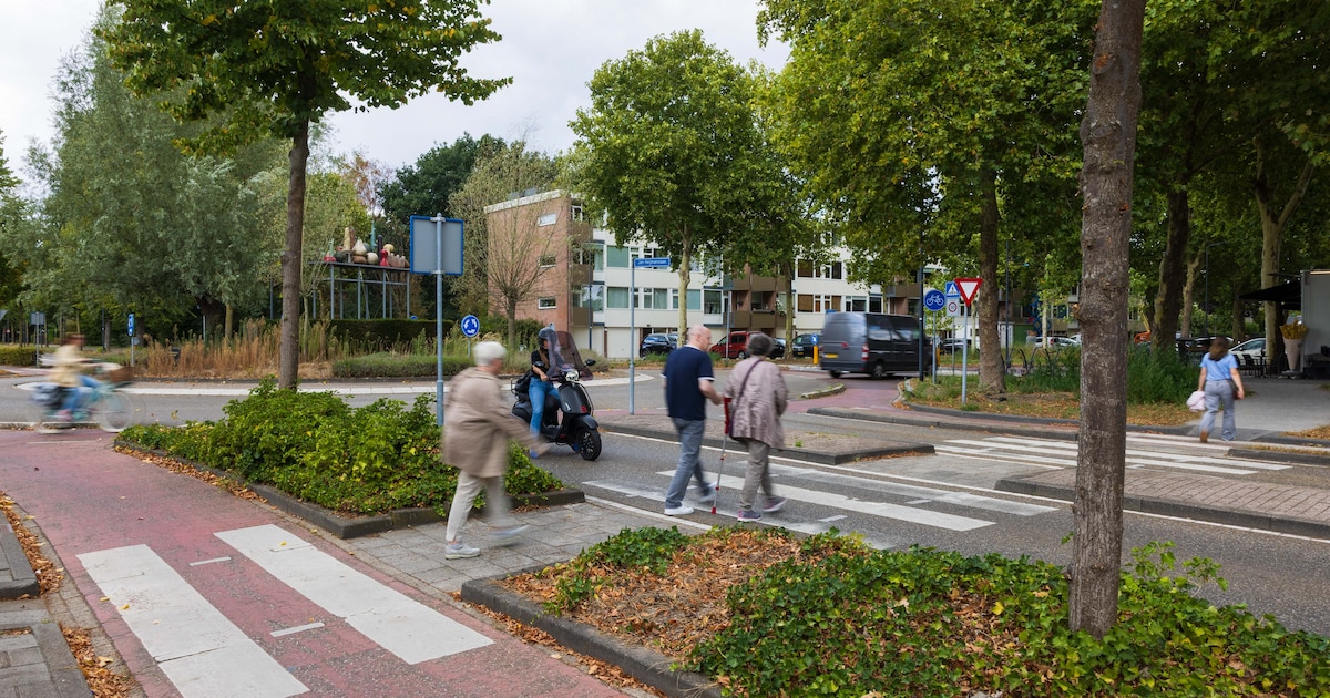 Man (34) met gebiedsverbod blijft meisjes en vrouwen intimideren op ...