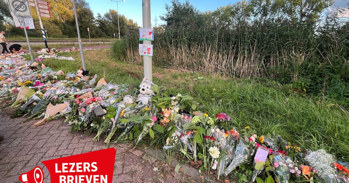 Moord op Lisa roept veel emoties op: ‘Ik kreeg kippenvel van het nieuws’ | Opinie | BD.nl