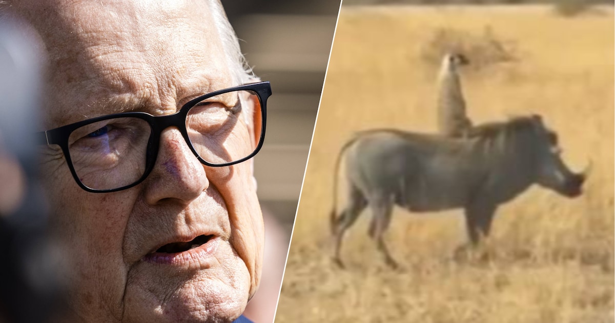 Pieter van Vollenhoven trapt erin, maar ook jongeren herkennen ‘AI ...