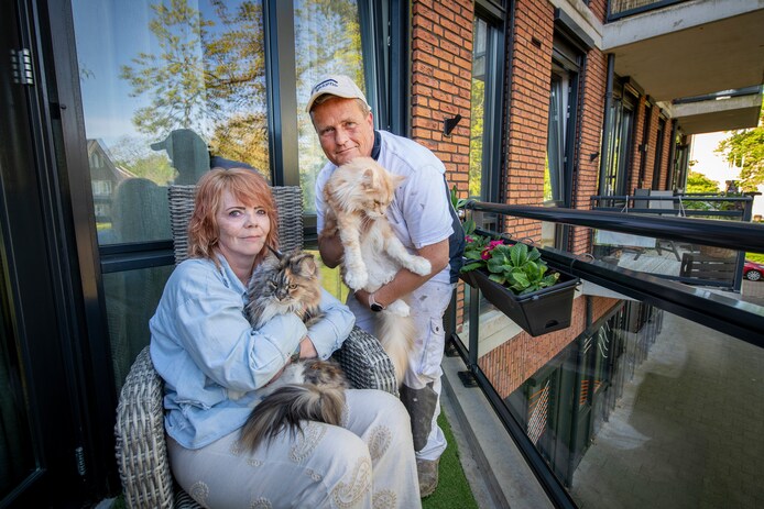 Roos en Eric betalen 1650 euro zodat hun katten tóch balkon op kunnen ...