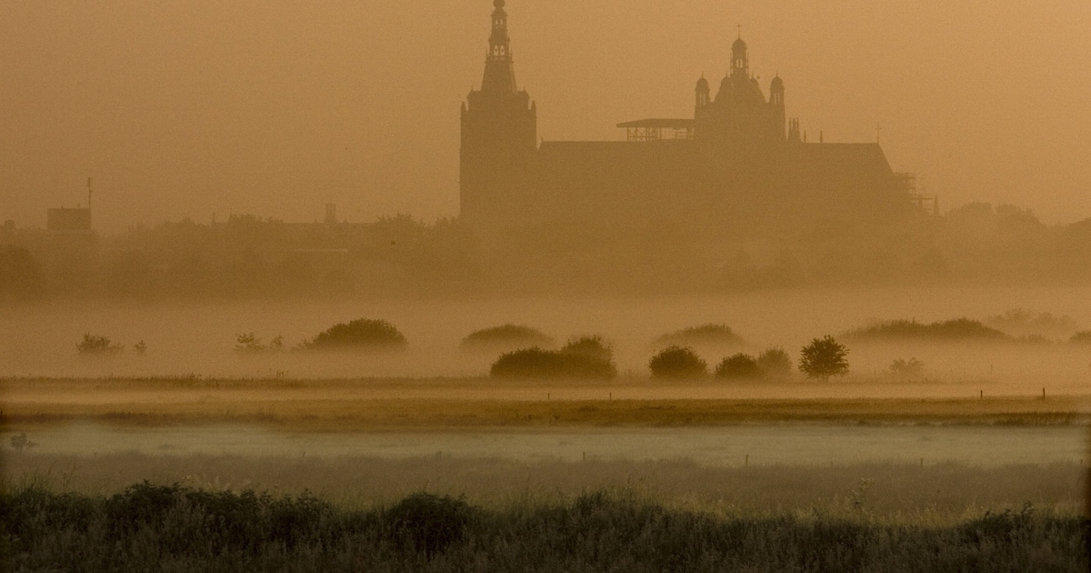 90.000 kuub grond van zijn plek voor ‘natte natuurparel’ Bossche Broek ...