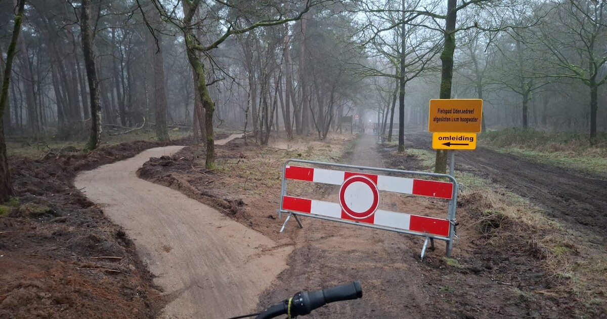 Fietspad te nat? Dan maar een nieuw slingerpad ernaast in De Maashorst | Maashorst | bd.nl