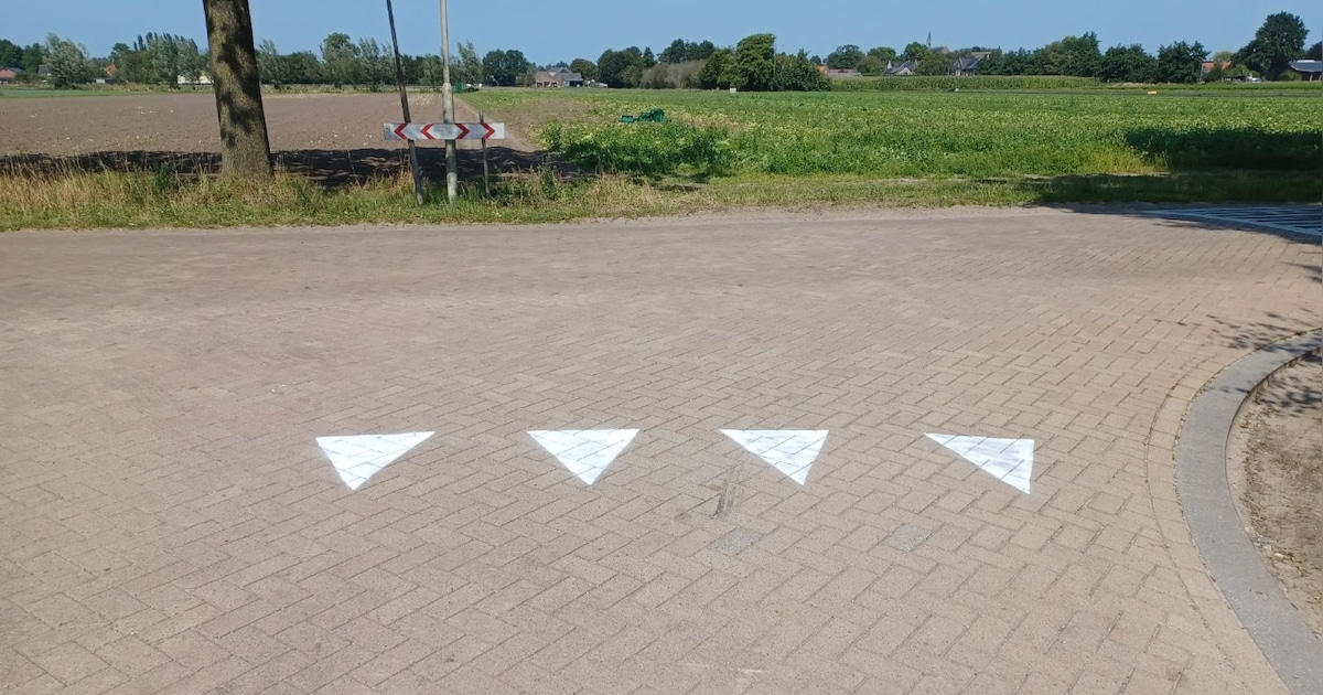 ‘Boze bewoner’ is onveilige situatie beu en kalkt zelf haaientanden op ...