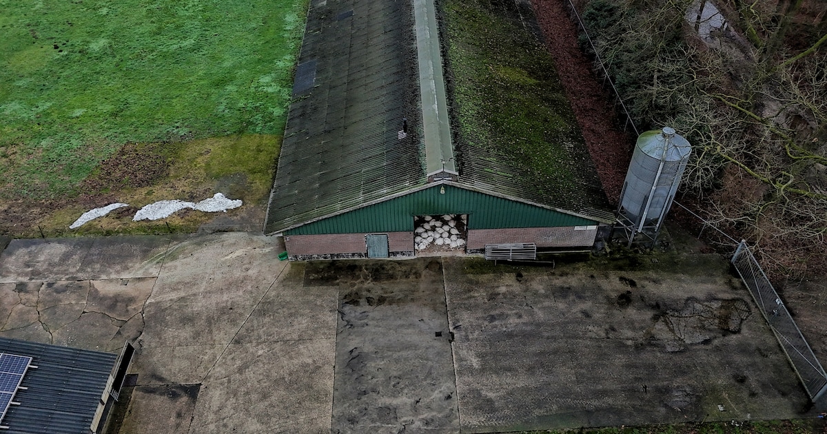 Ministerie tast nog in het duister over uitbraak vogelgriep in ...