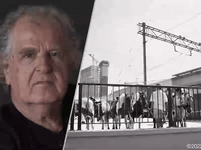 Fotograaf die ook de verloederde kant van Tilburg vastlegde onverwacht ...