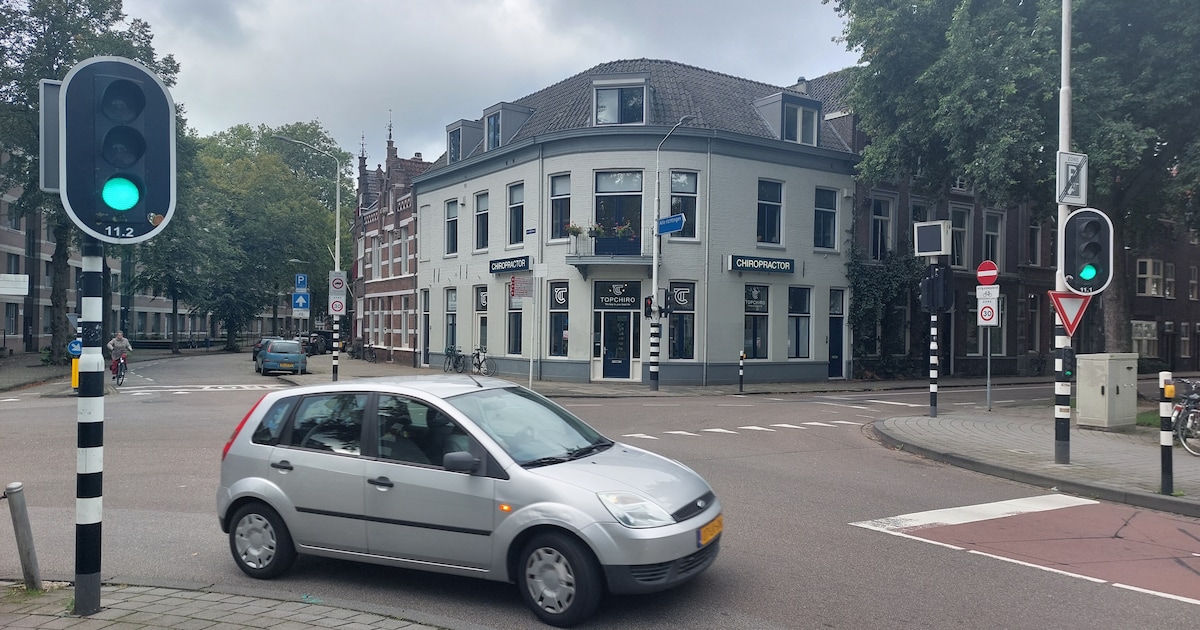 Deze verkeerslichten leiden het verkeer al jaren in goede banen, toch ...