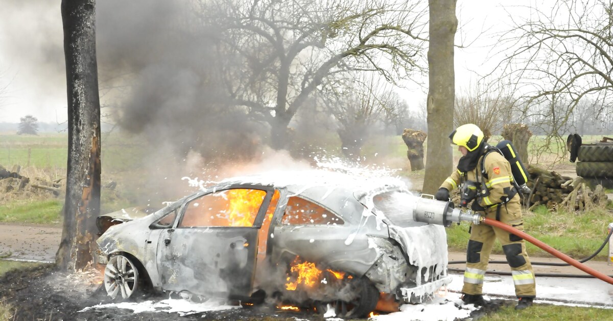 Auto vliegt in brand door botsing tegen boom in Berghem | Oss | BD.nl