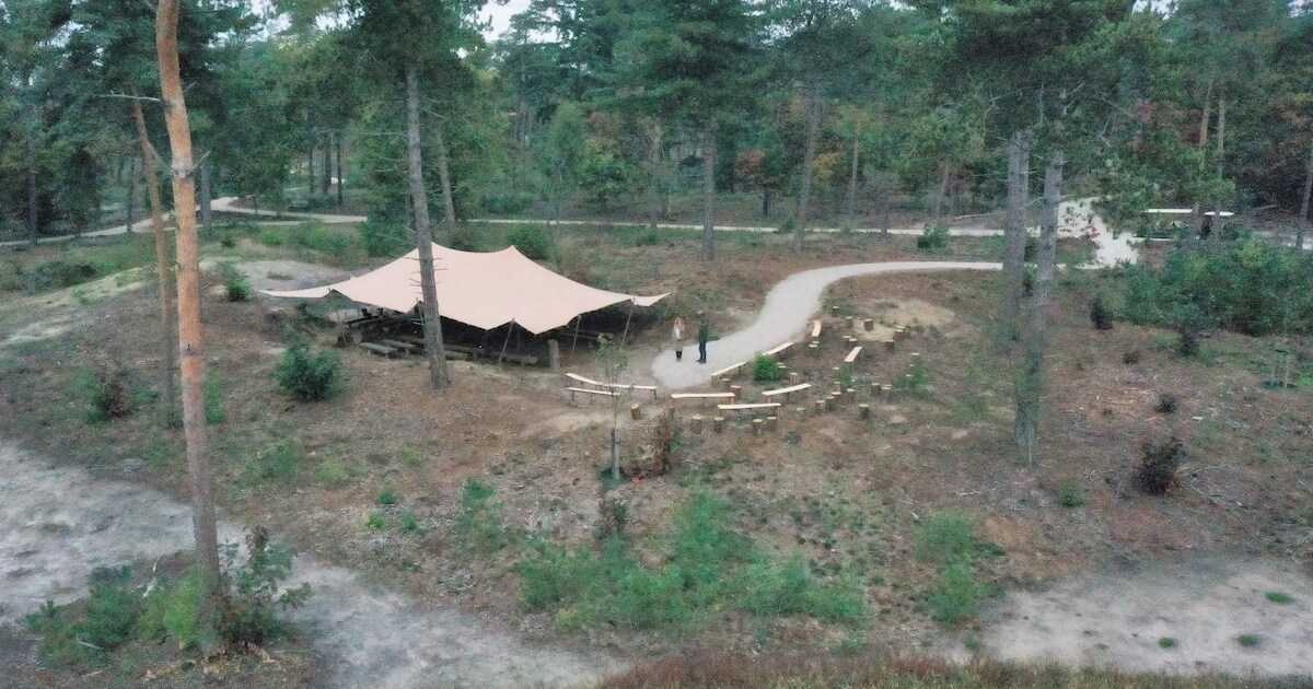 Grote verwarring over plannen voor natuurbegraafplaats in Gemert ...