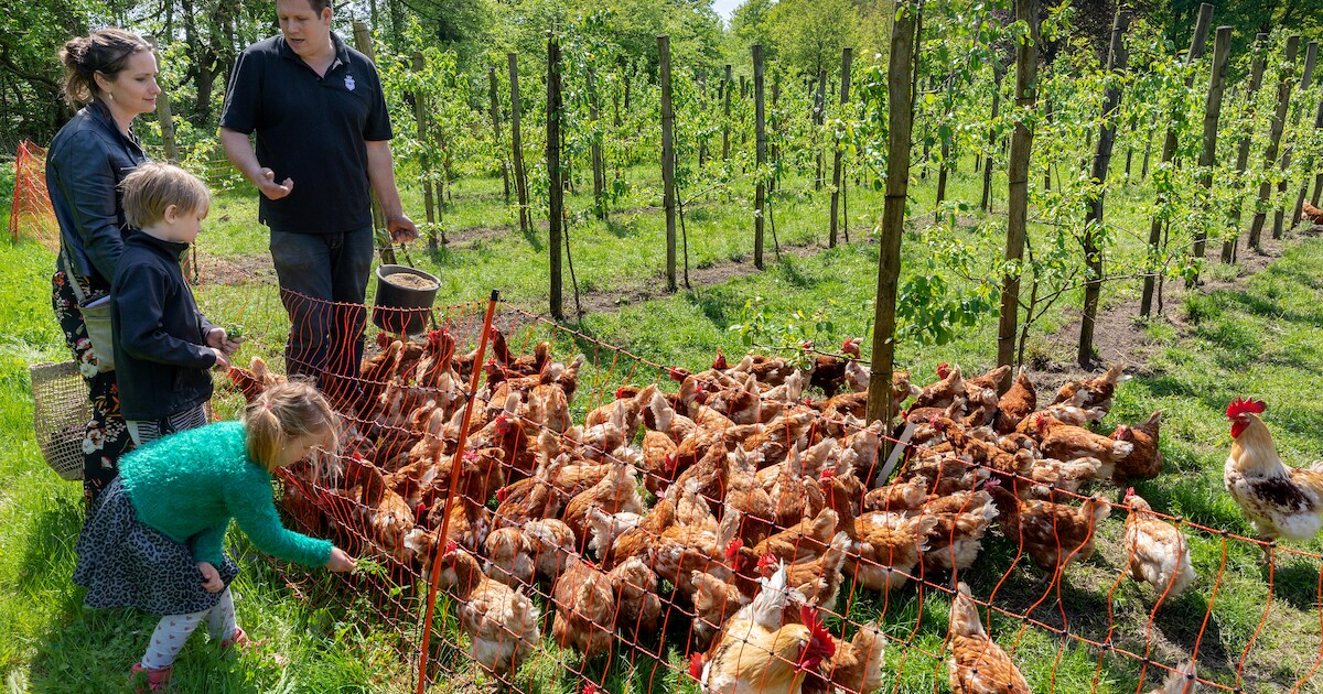 Boeren nieuwe stijl: boer Geert heeft in Boxtel 150 burgers als baas ...