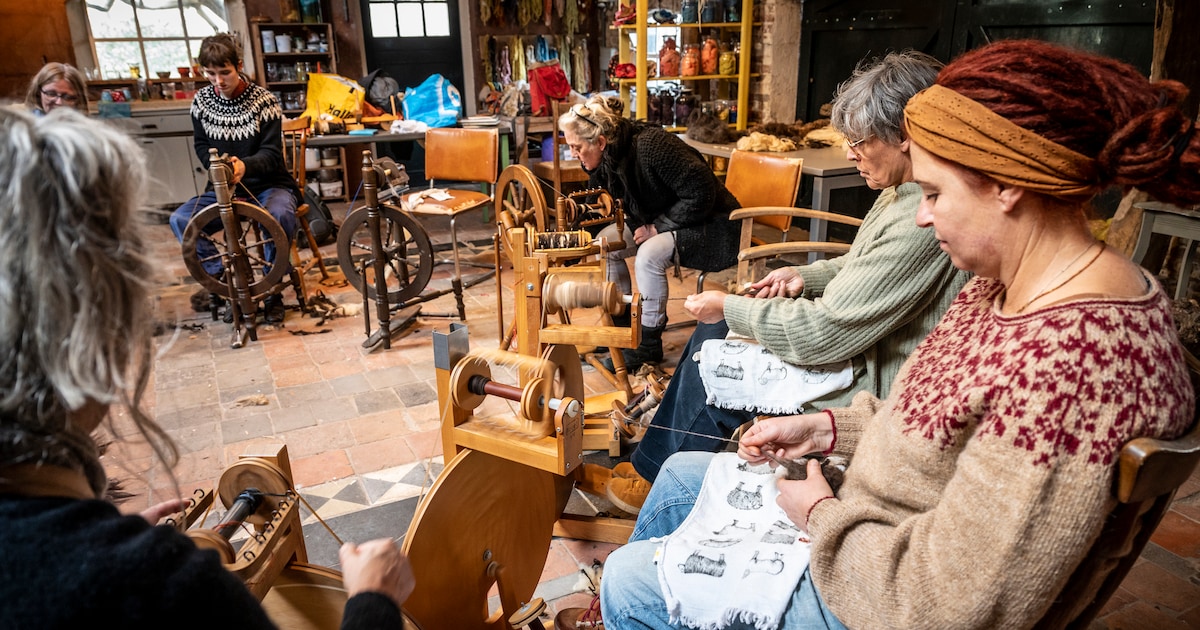 Wol is niet meer wollig: ‘Decennialang is het als restproduct gezien ...