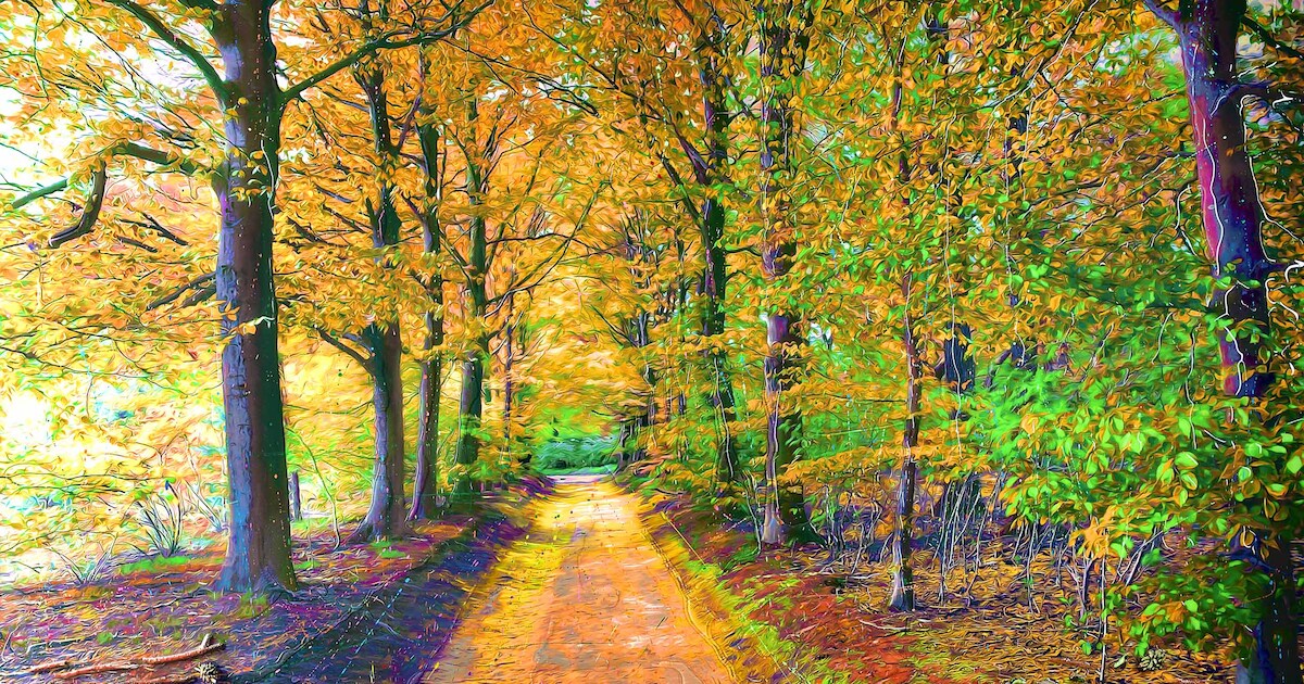 Het bos komt tot leven op de schilderijen van Tos Kostermans, nu te ...