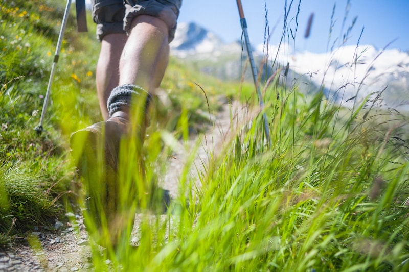 Wandelaar (20) in Franse Alpen uur lang aangevallen door vier honden ...