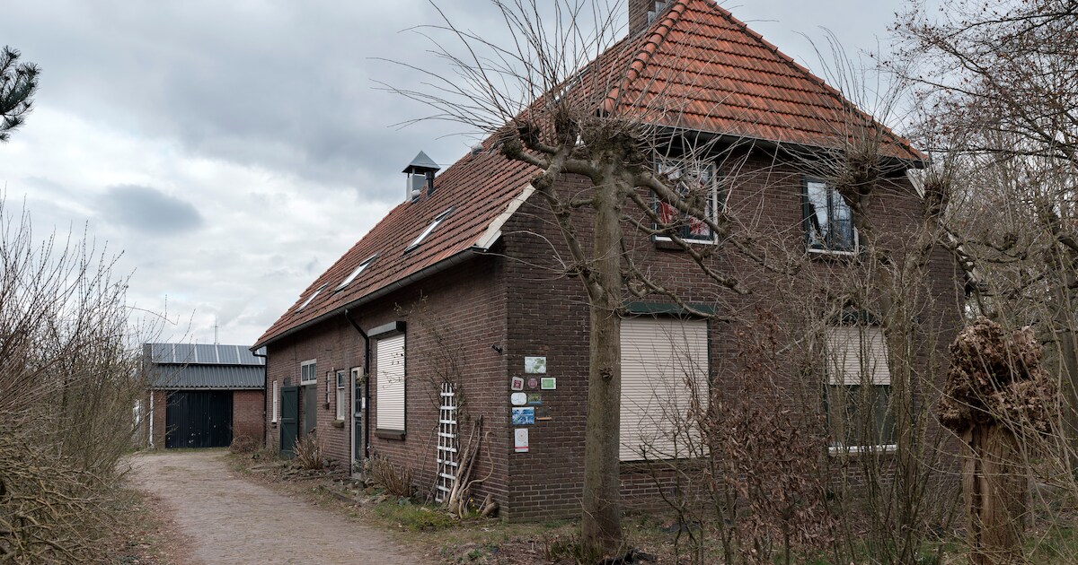 Stap vooruit voor jongeren uit Heusden en Den Bosch: gemeenteraad stemt ...