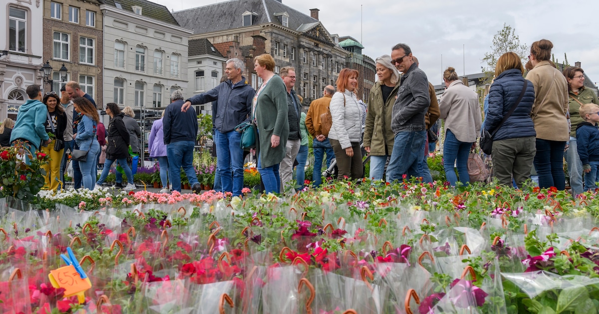 Geraniummarkt in Den Bosch: vooral een kleurrijk decor | Regio | BD.nl