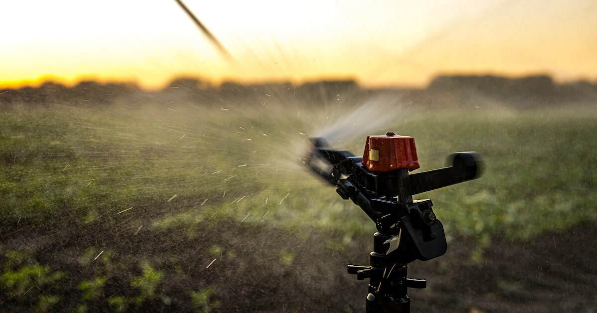 Boeren hebben oplossingen, slim omgaan met water | Brabant | BD.nl