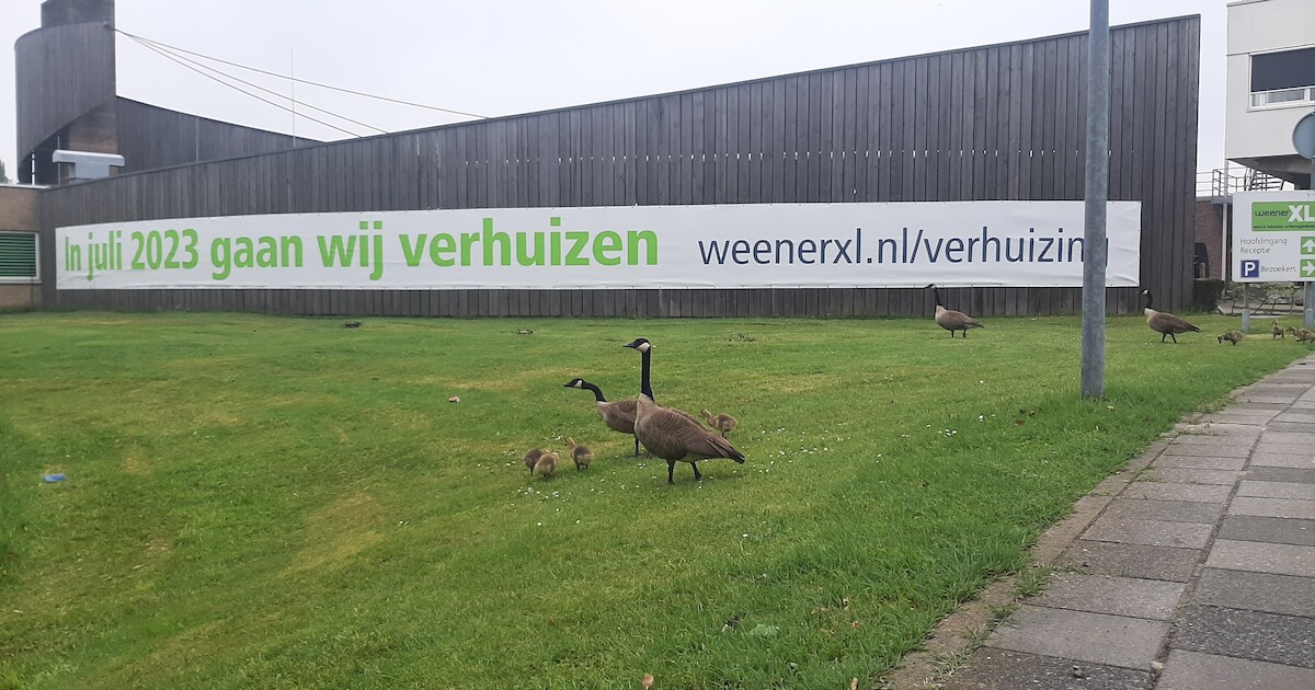 Kleine bedrijven op locatie Weener XL, in afwachting van bouwplan voor ...