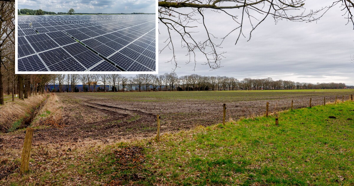 Exploitanten Boxtelse zonneparken vragen nu zélf om uitstel, wat is er ...