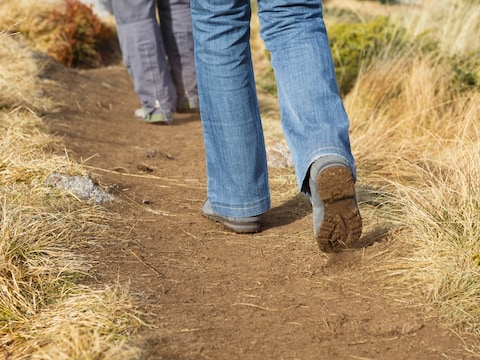 Winterwandeling door de Kampina in Boxtel | Boxtel | BD.nl