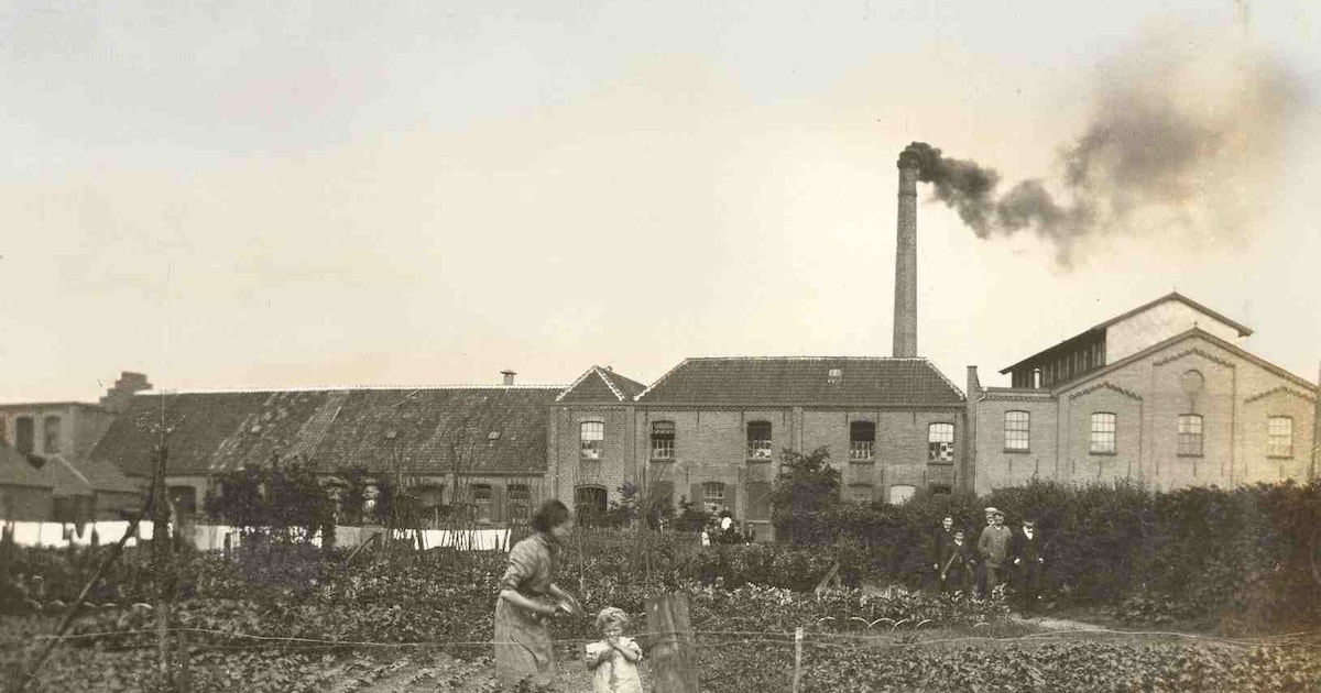 ‘Rode wandeling’ door de historie van Osse arbeiders | Uit-tips Oss | BD.nl