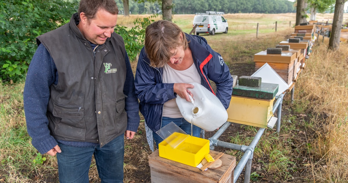 Hoe helpen Pascal en Jolanda hun bijen de winter door? Met niet minder ...