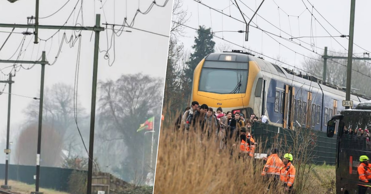 Eerste treinen rijden vrijdagochtend weer na urenlange storing door ...