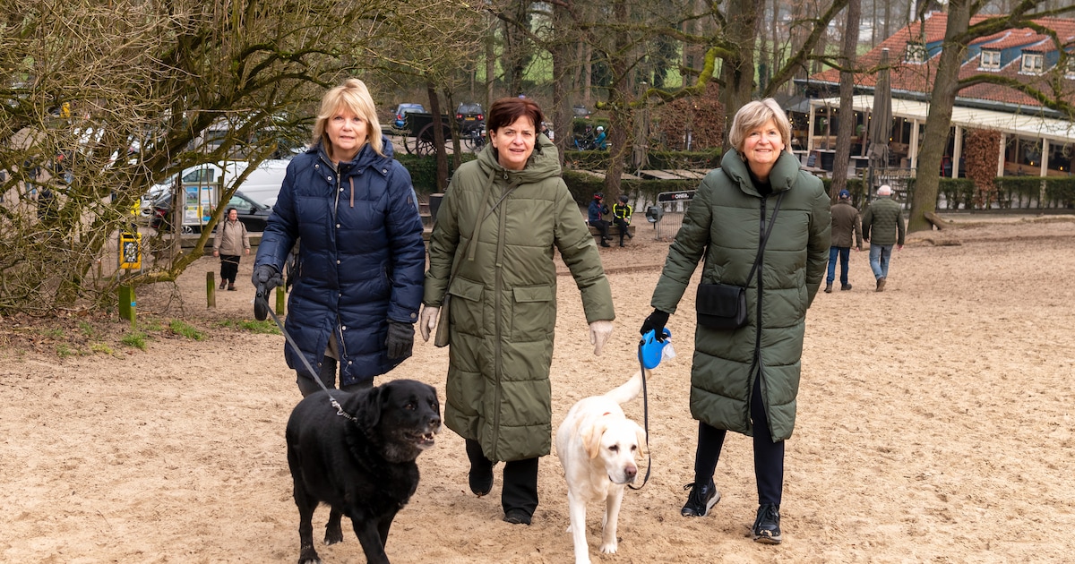 Geven bezoekers Loonse en Drunense Duinen hun vaste rondje op voor ...