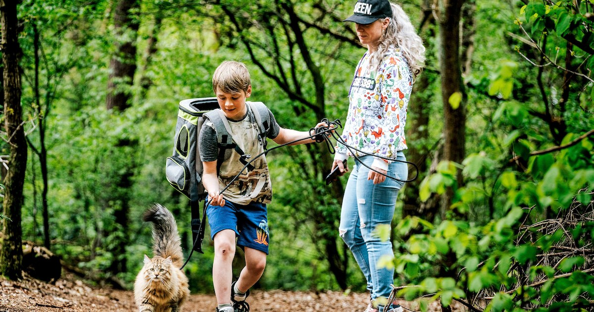 Keuvelen over katten tijdens de kattenwandeling door de Loonse en ...