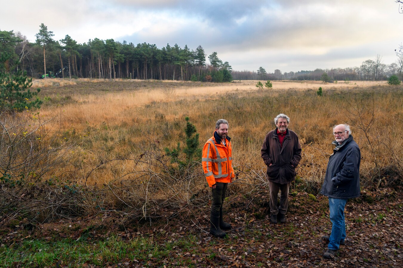 Nachtzwaluw en hagedis krijgen meer ruimte in Hilvarenbeek ...