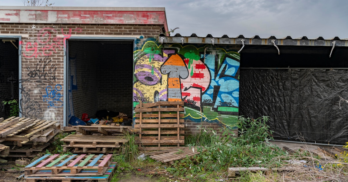 Vooral het aantal jongere daklozen in Tilburg is flink gestegen: ‘Dat ...