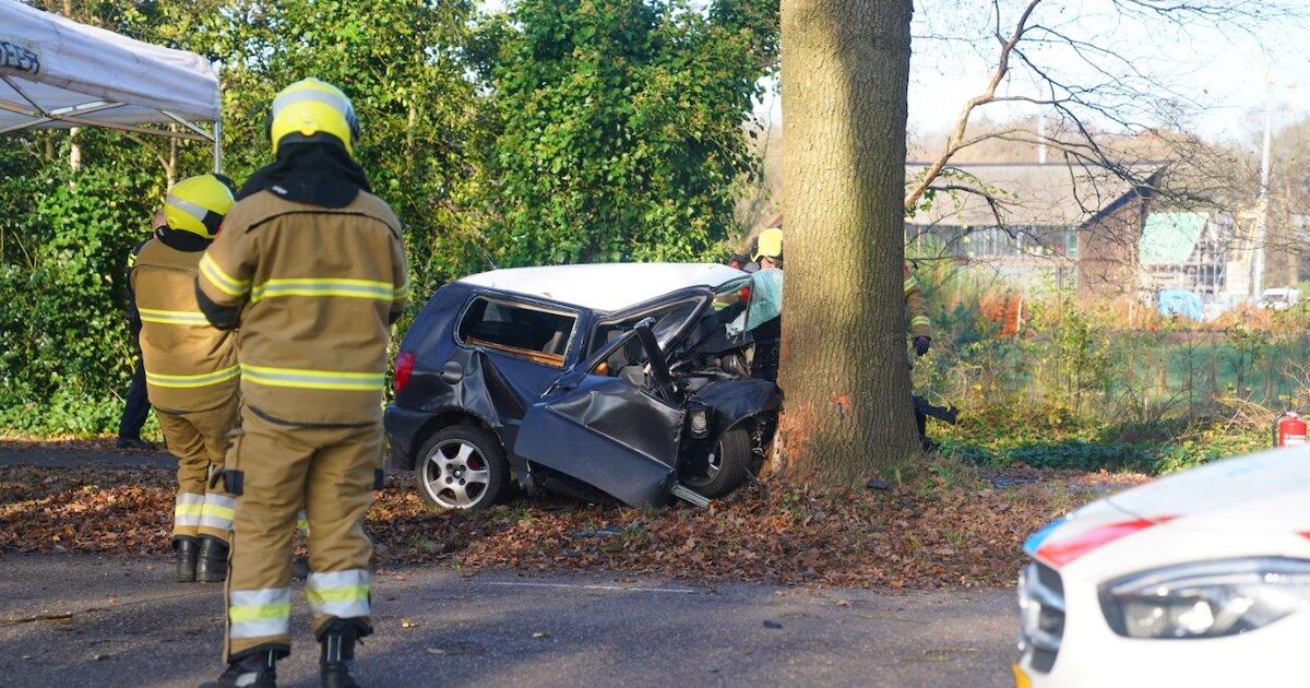 Automobilist die overleed na botsing tegen boom bij Nieuwkuijk is 36-jarige man | Heusden | BD.nl