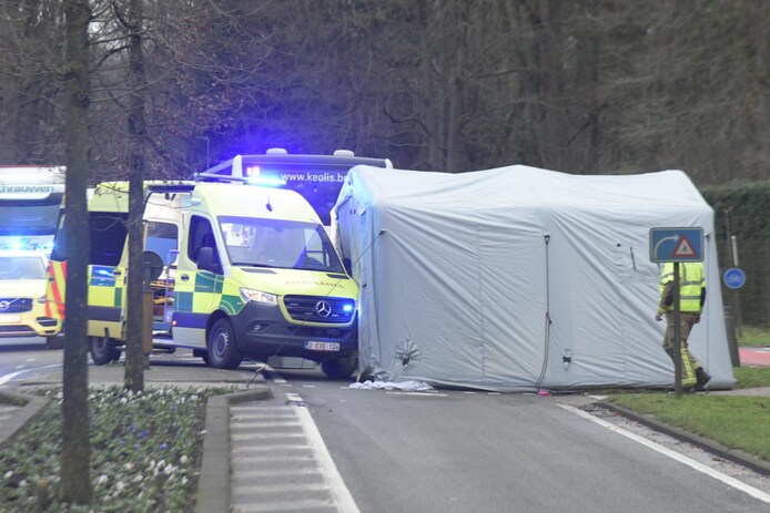Meisje (14) overleden na aanrijding door bus in Kapellen, vlak over de ...