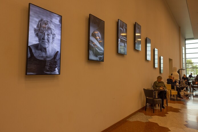 Bij het loden hondje Lisa rechtsaf: hoe kunst de weg wijst en troost ...