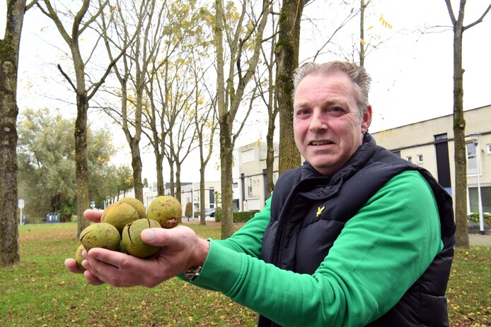 Buurtbewoners vrezen voor deze vallende groene 'tennisballen ...