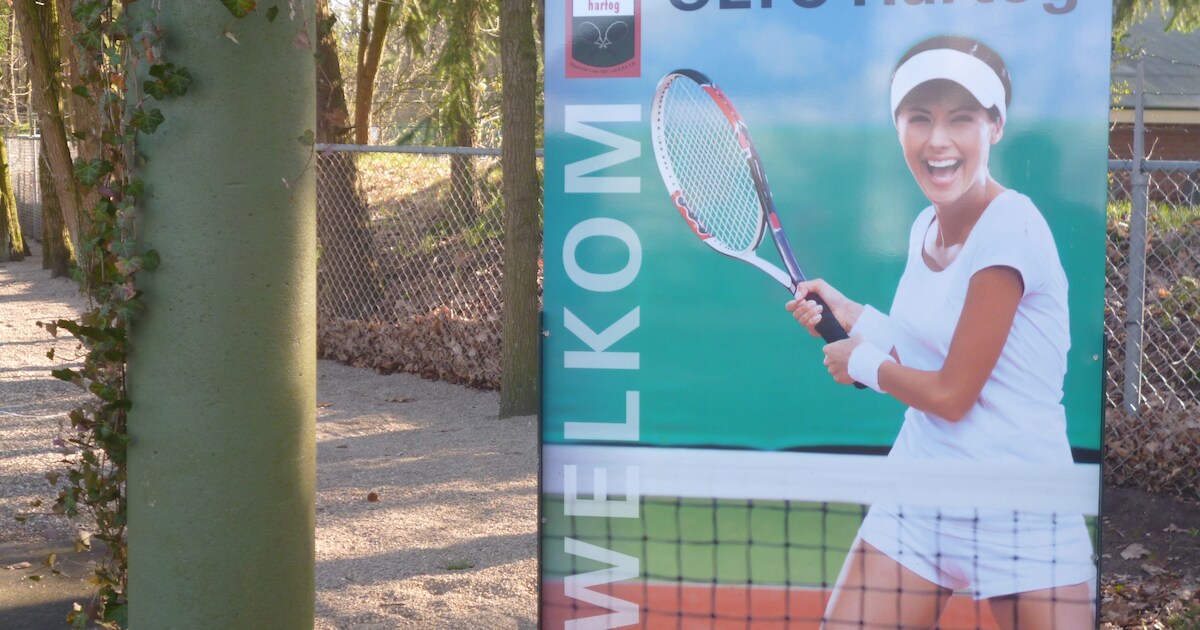 Leden en oud-leden Osse tennisclub Hartog vieren 90-jarig bestaan met ...
